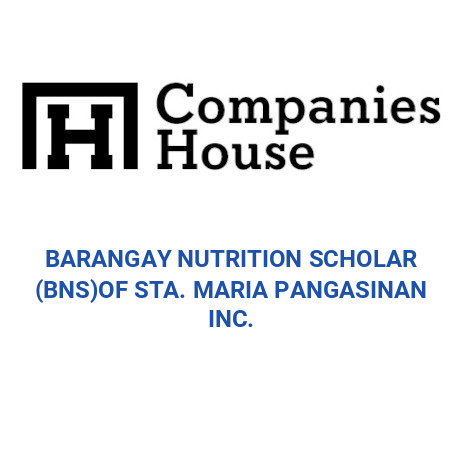 BARANGAY NUTRITION SCHOLAR (BNS)OF STA. MARIA PANGASINAN INC ...